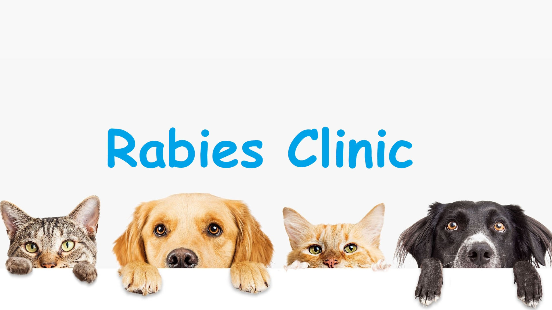 2024 Rabies Clinic